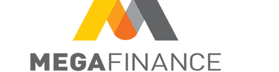 Mega Finance | Kubik Leadership